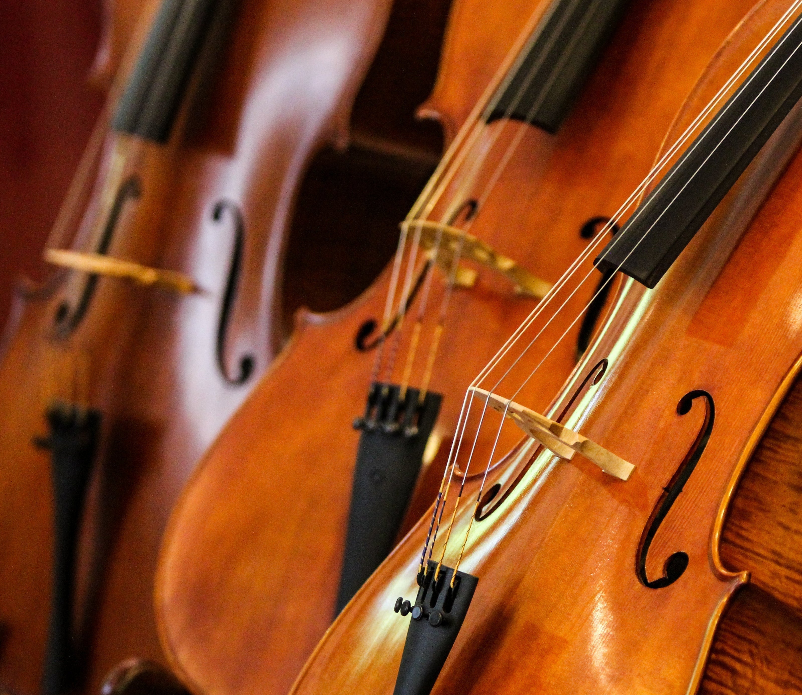 Cello Price Guide: How Much Should You Spend? | StringWorks