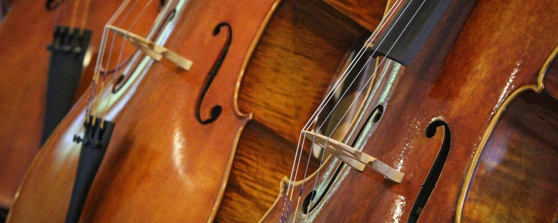 Cellos for Sale | Beginner to Professional | StringWorks Since 1997