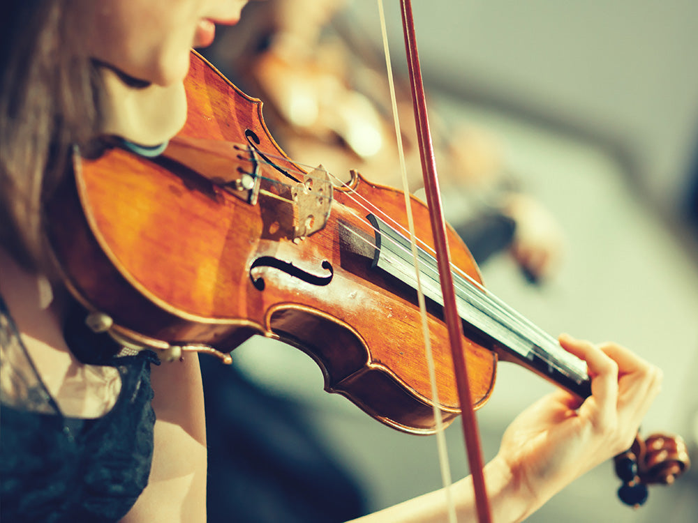 Violin, Viola & Cello Parts Diagram | String Instrument Anatomy Guide ...