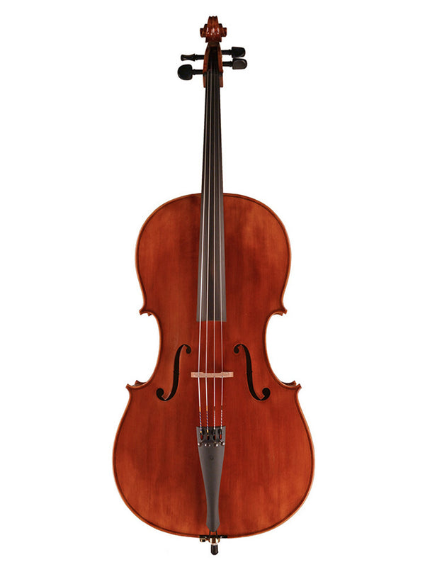 Artist Baroque Cello - Gut String Sound | Bach & Baroque Lovers ...