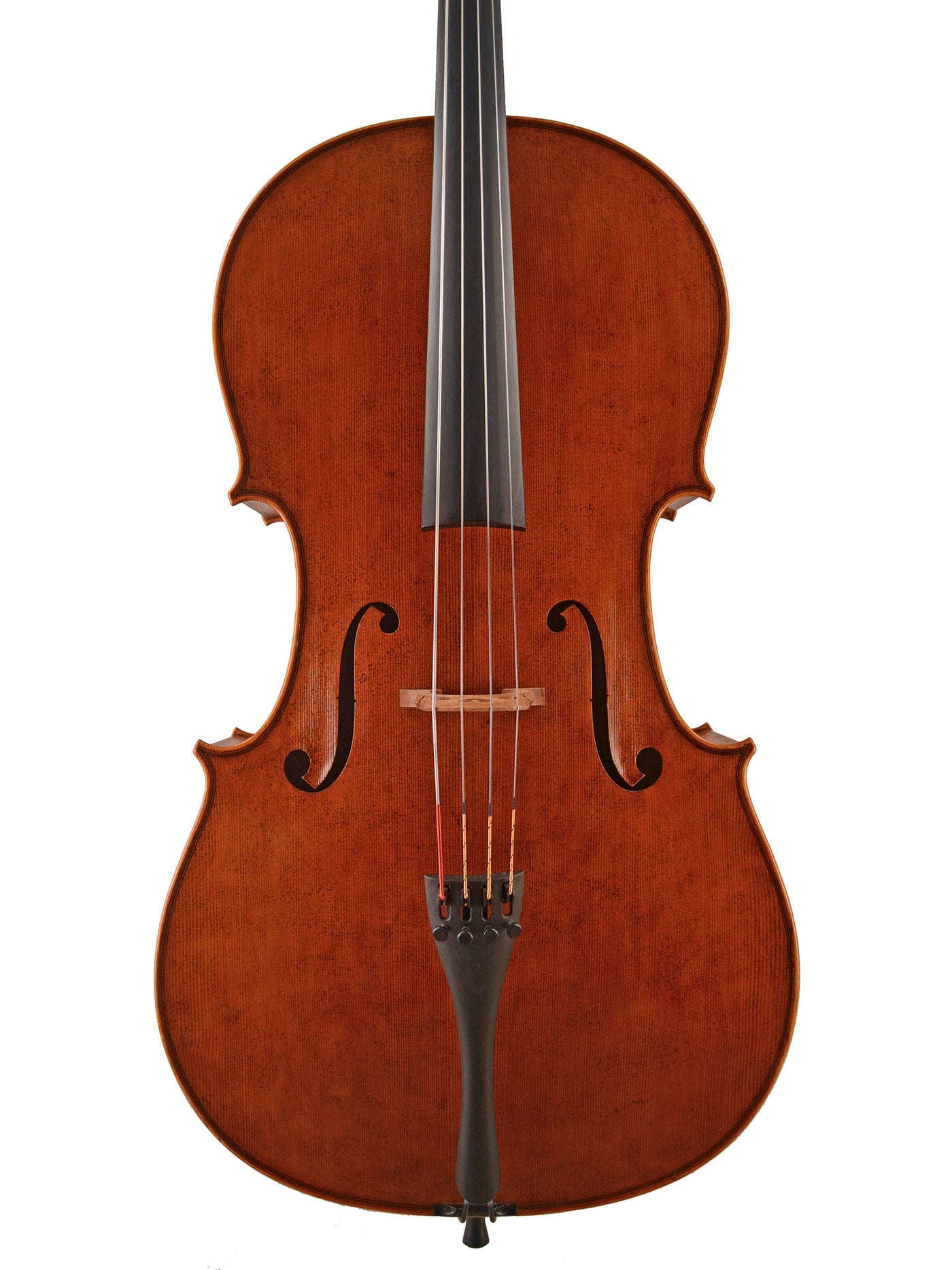 Kallo Bartok Professional Cello - European Made | Concert Grade ...