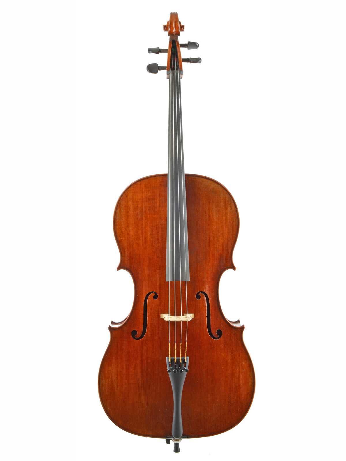 Michael Todd III Rogeri Special Edition Cello | StringWorks